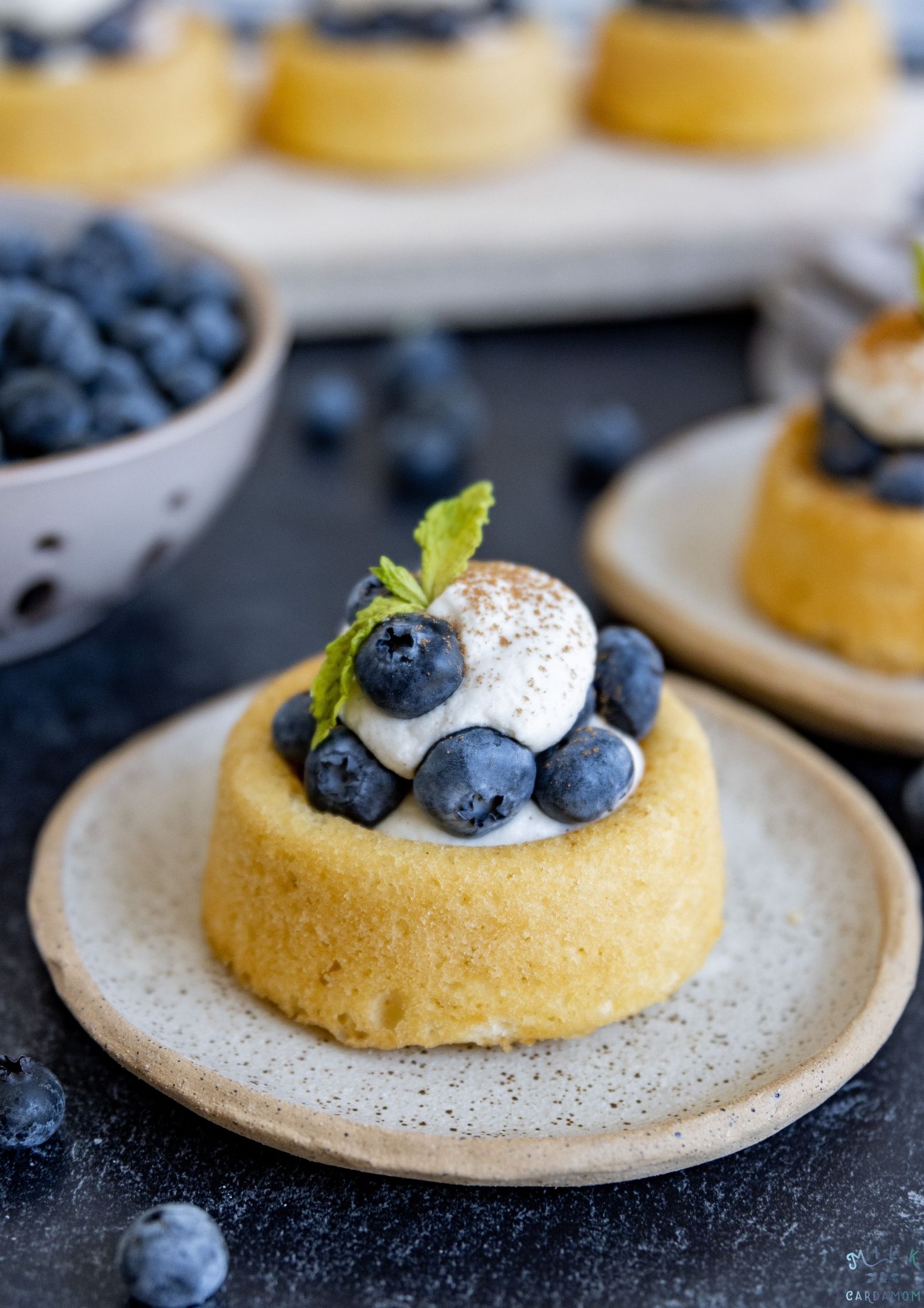 Blueberry Cinnamon Shortcakes | Milk & Cardamom