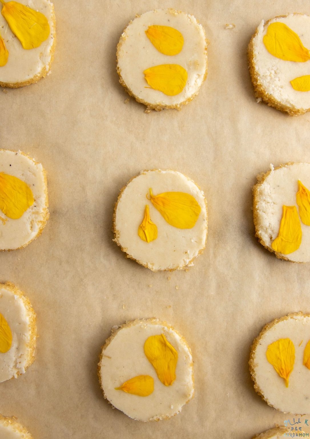 Smoked Clove and Orange Sable Cookies | Milk & Cardamom