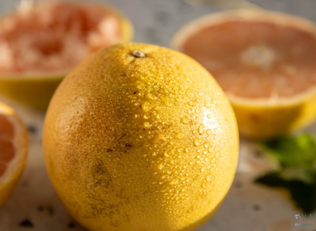 Sparkling Fresh Florida Grapefruit Mocktail | Milk & Cardamom