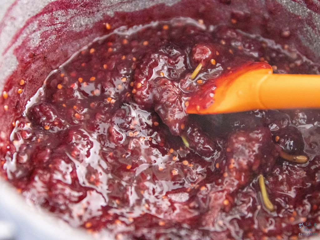 Magic Mulberry Sweet Rolls (Eggless) | Milk & Cardamom